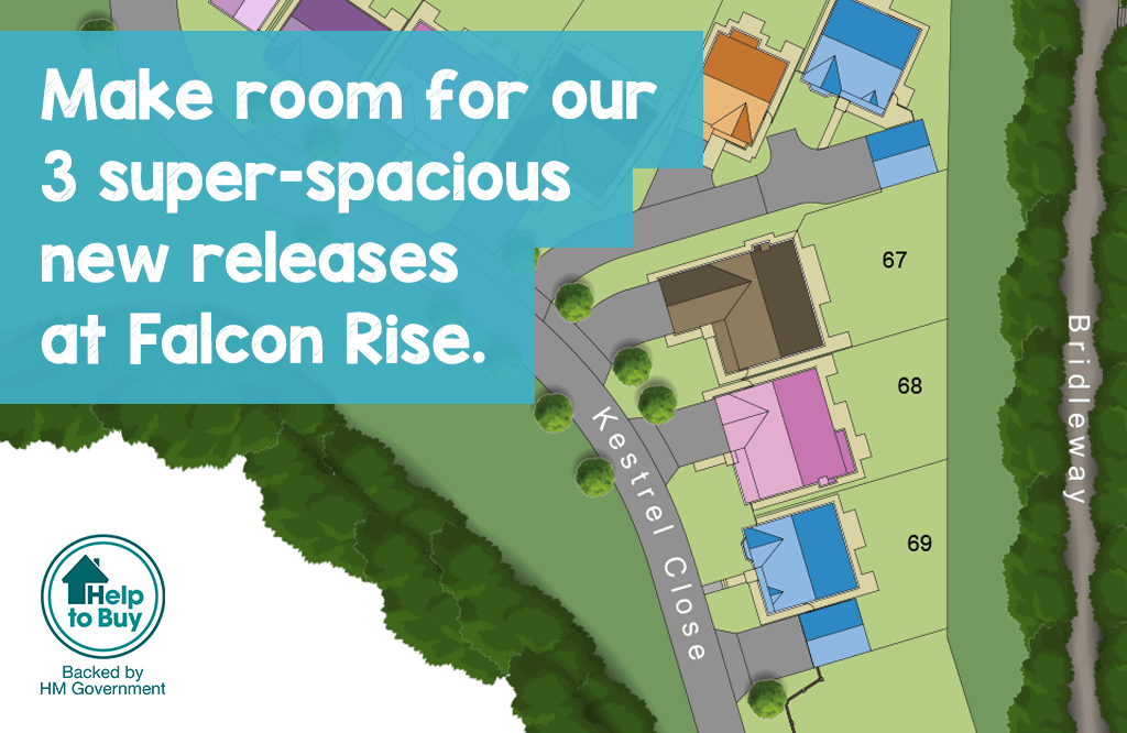 Three super-sized new releases at Falcon Rise! - Seddon Homes