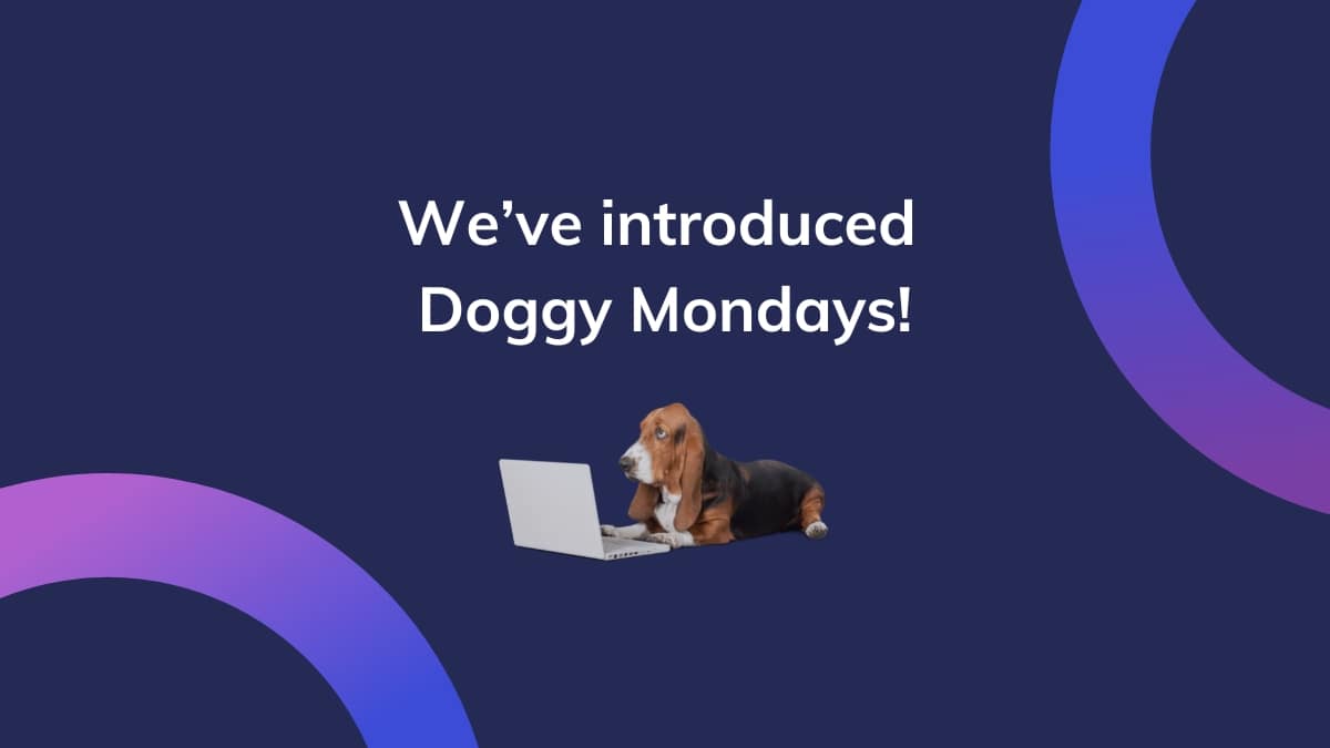 We’ve introduced Doggy Mondays at eclipse - eclipse marketing