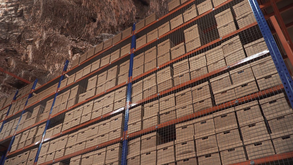 Data Protection in Action: Ensuring Document Security - DeepStore