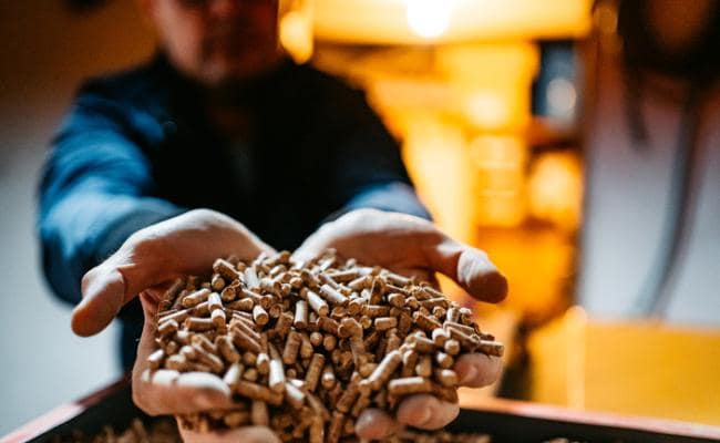 Fuelling the Future: Biomass Drying Containers | GWR Engineering