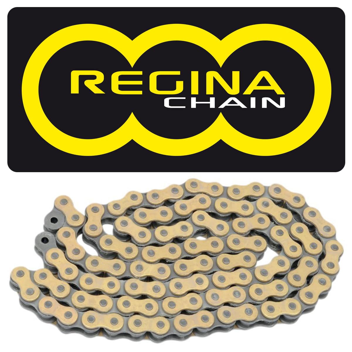 REGINA EBS/ORO GOLD 520×102 TRIALS Chain | Trial Enduro Direct